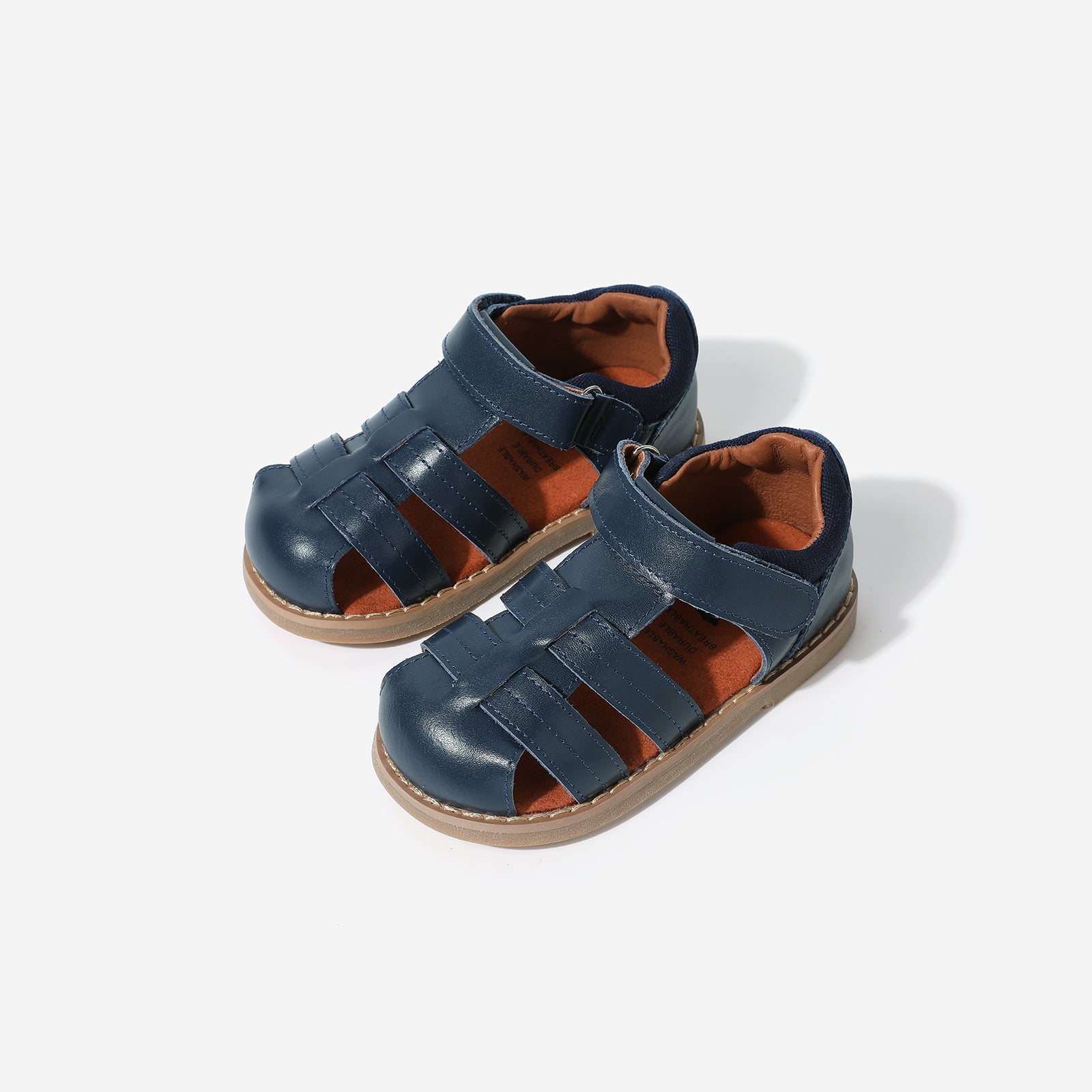 Beetle Gladiator - Dark Blue
